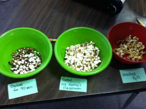 April | 2013 | Vermont School Garden